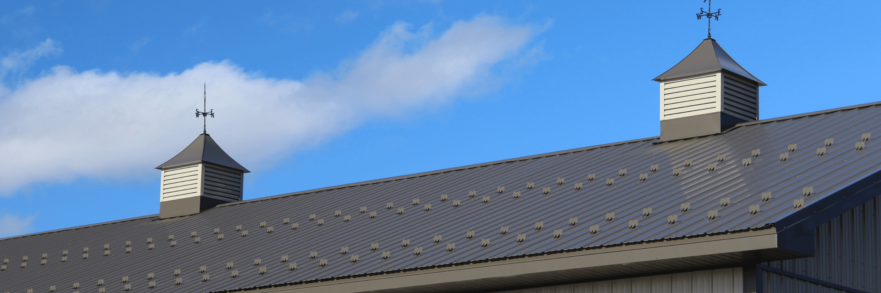Everlast II® by Everlast Roofing